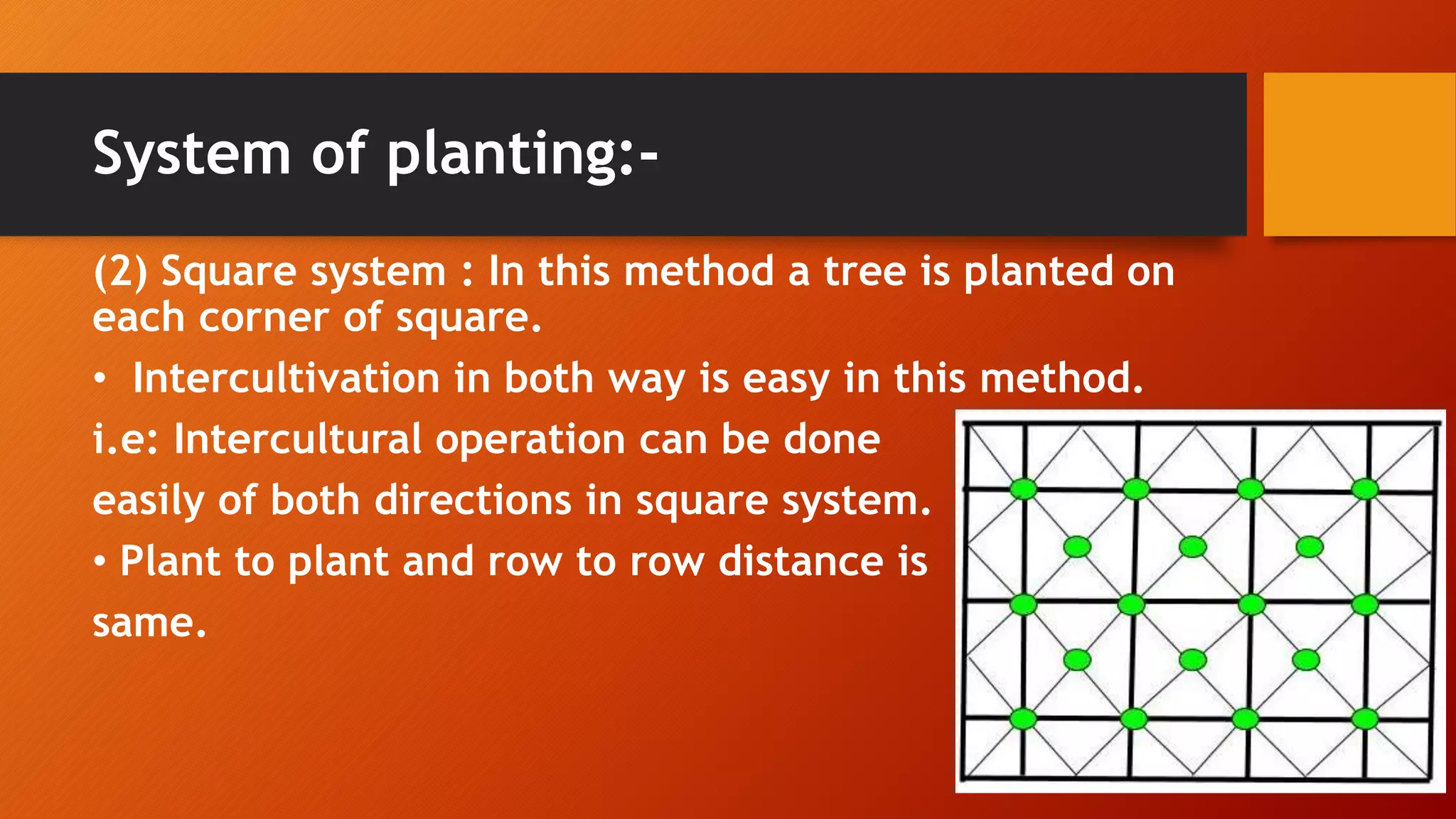 System of planting and types | PPTX