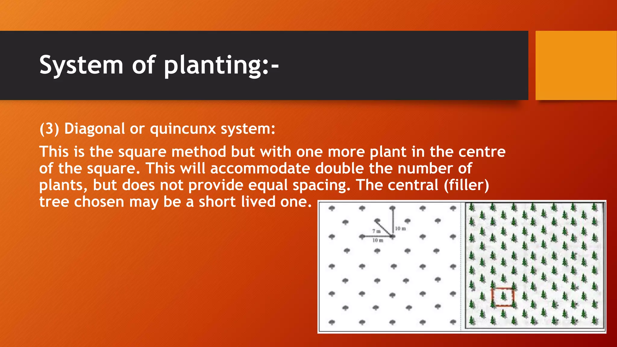 System of planting and types | PPTX
