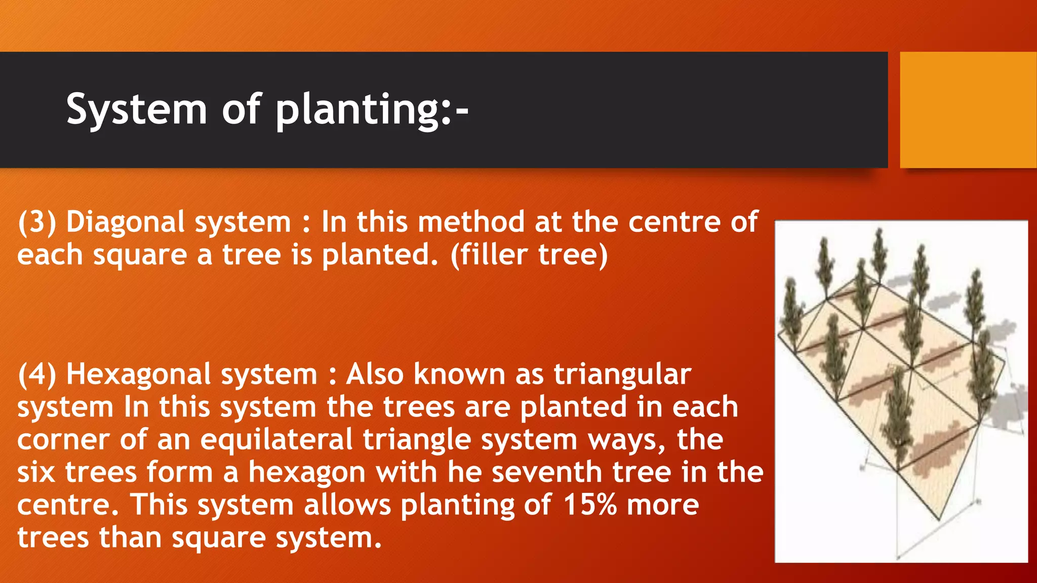 System of planting and types | PPTX