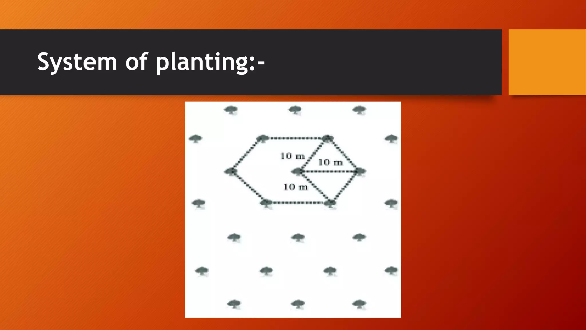 System of planting and types | PPTX