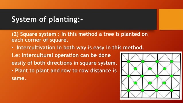 System of planting and types | PPTX | Gardening | Home & Garden