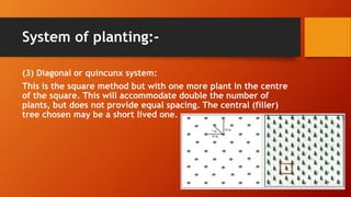 System of planting and types | PPTX