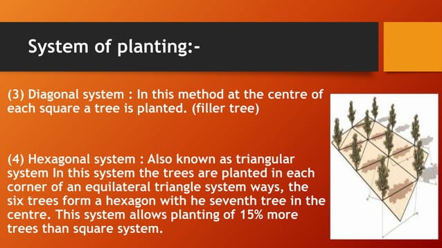 System of planting and types | PPTX | Gardening | Home & Garden