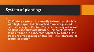 System of planting and types | PPTX