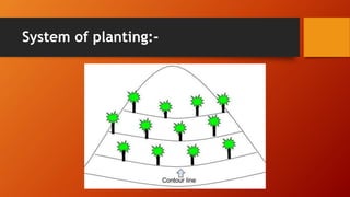 System of planting and types | PPTX