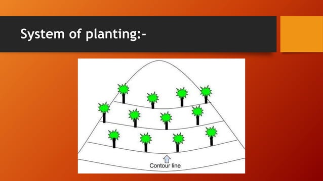 System of planting and types | PPTX | Gardening | Home & Garden