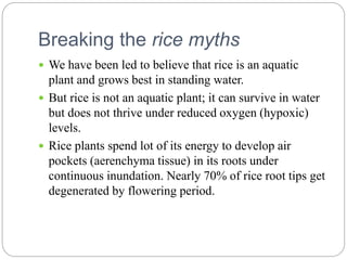 System of Rice Intensification(SRI) | PPTX