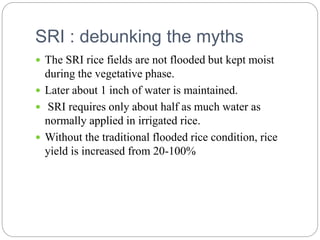 System of Rice Intensification(SRI) | PPTX