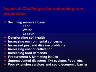 System of rice intensification status, issues and future research ...