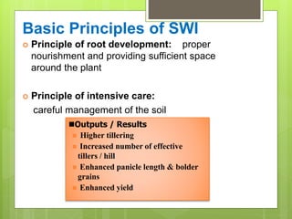 System of wheat intensification - SWI | PPTX