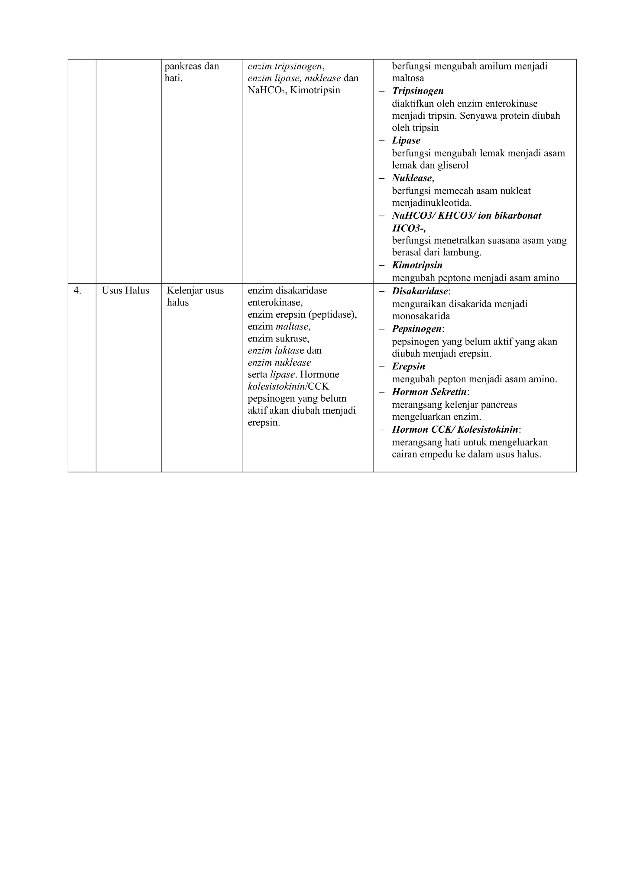 System pencernaan manusia | DOC