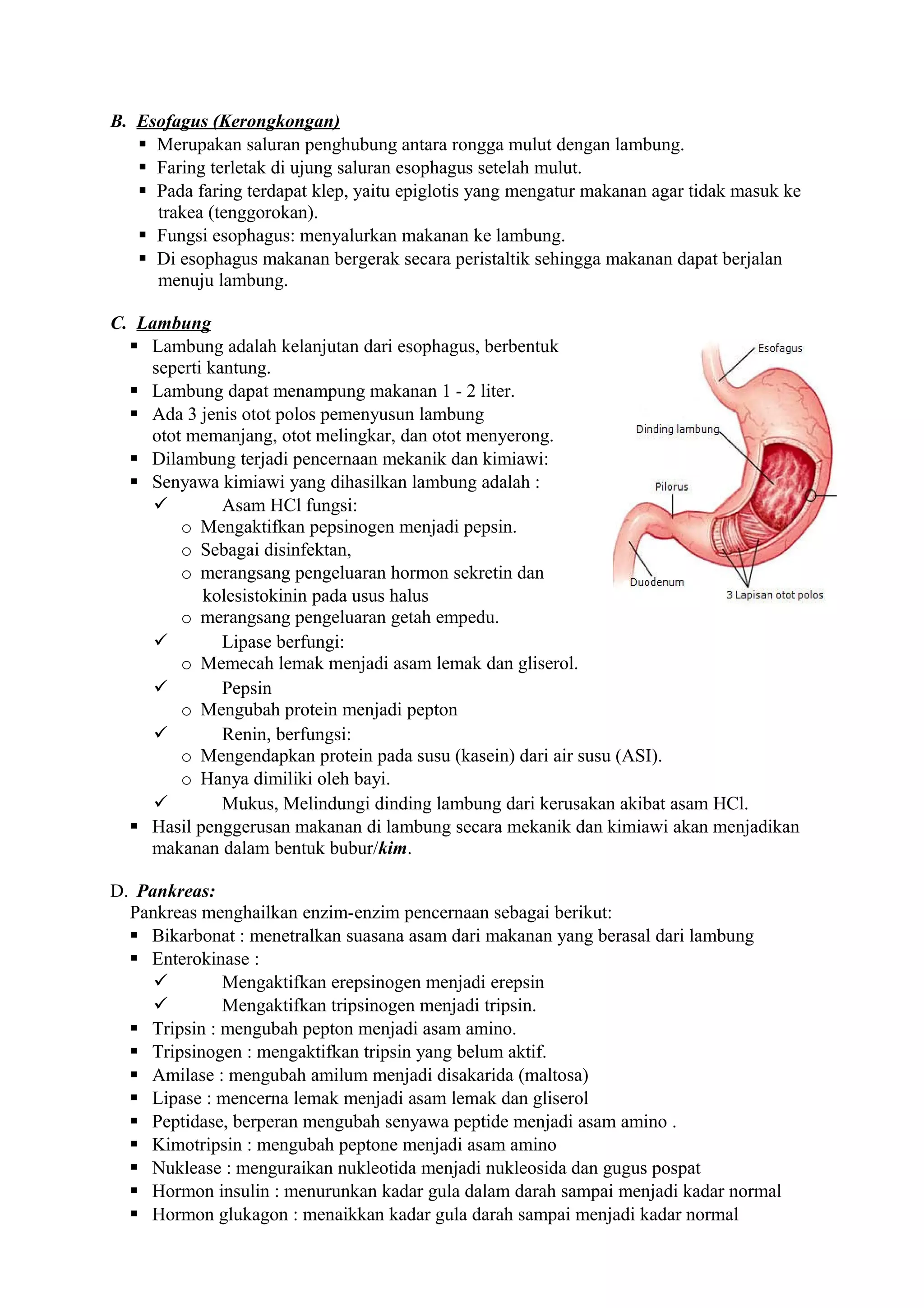 System pencernaan manusia | DOC
