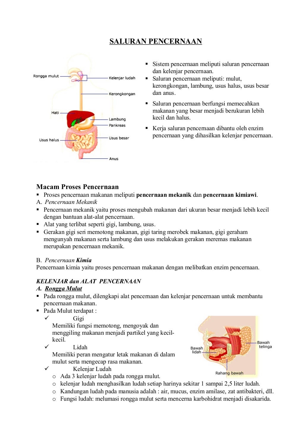 Laporan Sistem Pencernaan - Perumperindo.co.id