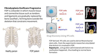 System physiology | PPT