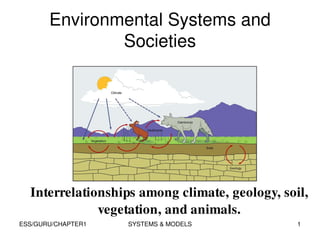 Systems | PDF