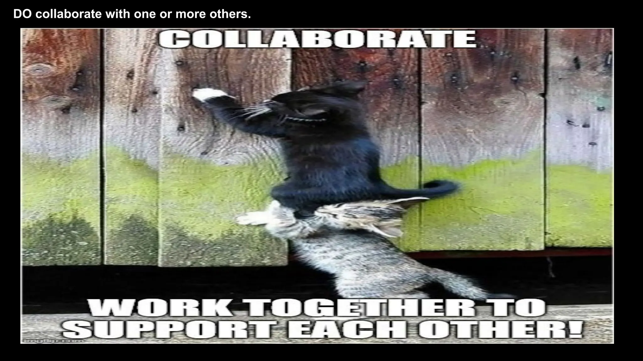 Systems Thinking Practicing Life Long Systems Thinking Ppt