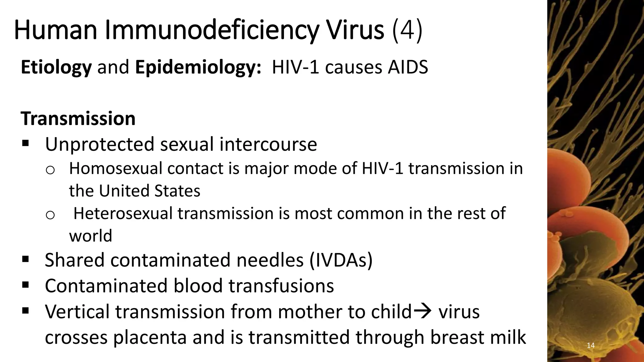 Pathophysiology- Global Overview of Select Infectious Diseases | PDF ...