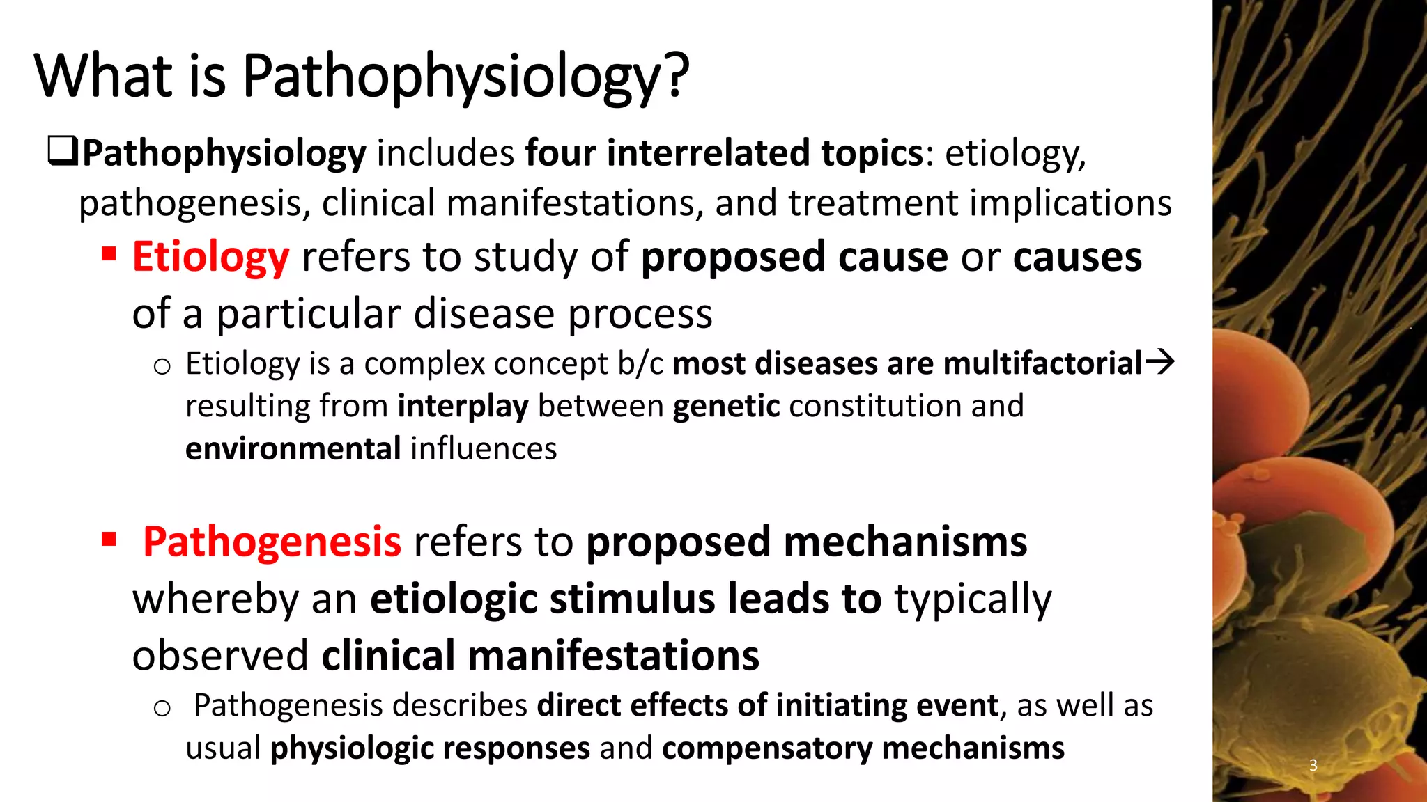Pathophysiology- Global Overview of Select Infectious Diseases | PDF ...