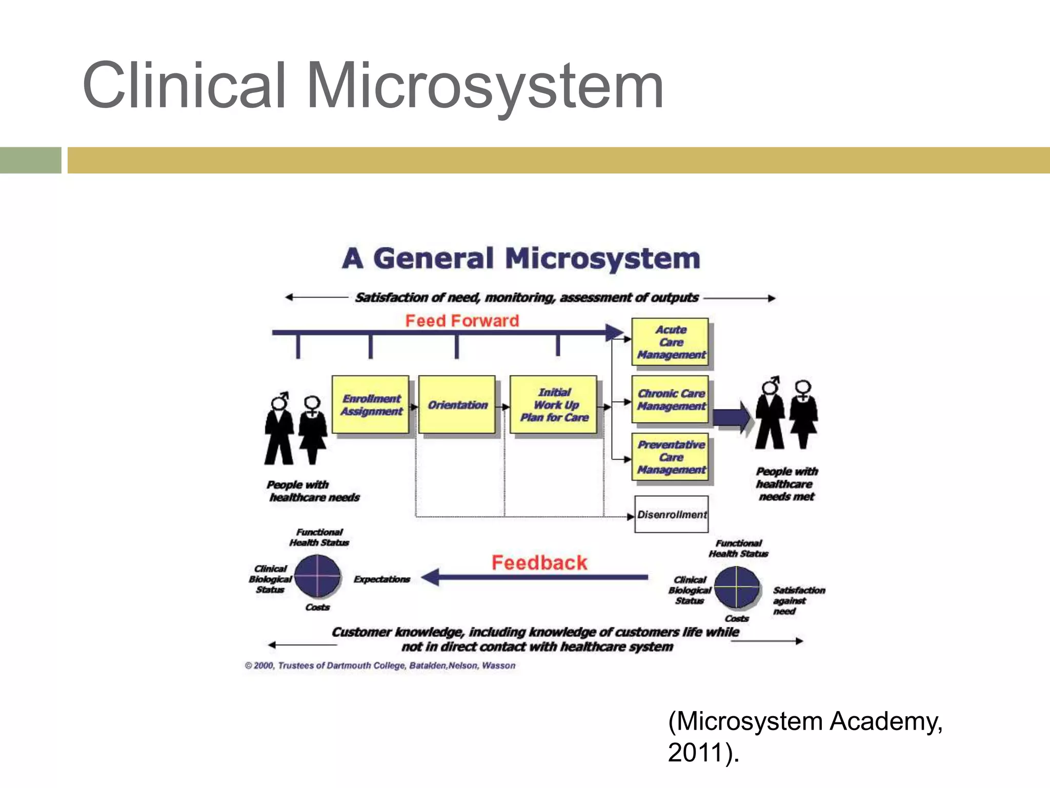 Systems and microsystems (1) | PPTX