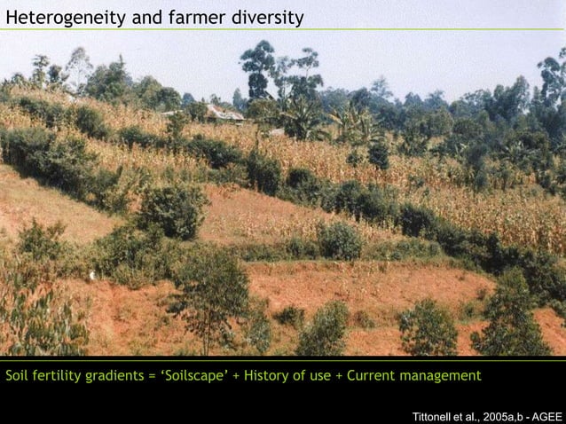 Systems Approaches To Support Ecological Intensification Ppt