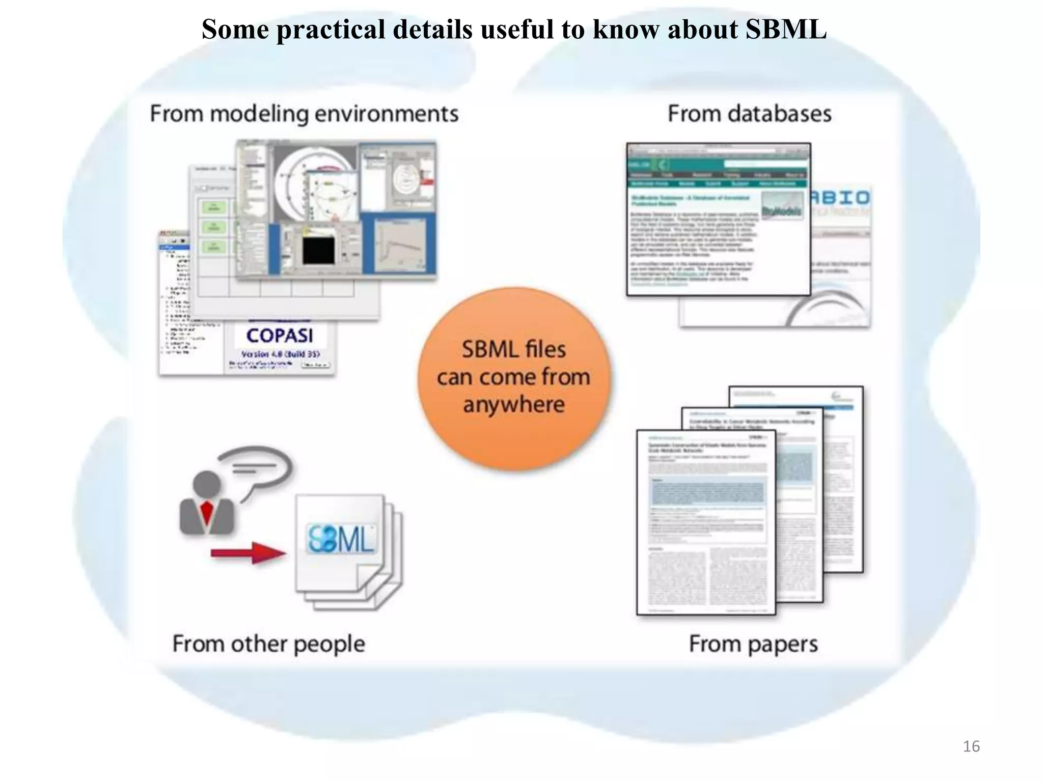SYSTEMS BIOLOGY MARKUP LANGUAGE.pptx | Chemistry | Science