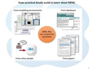 SYSTEMS BIOLOGY MARKUP LANGUAGE.pptx