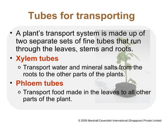 Systems | PPT
