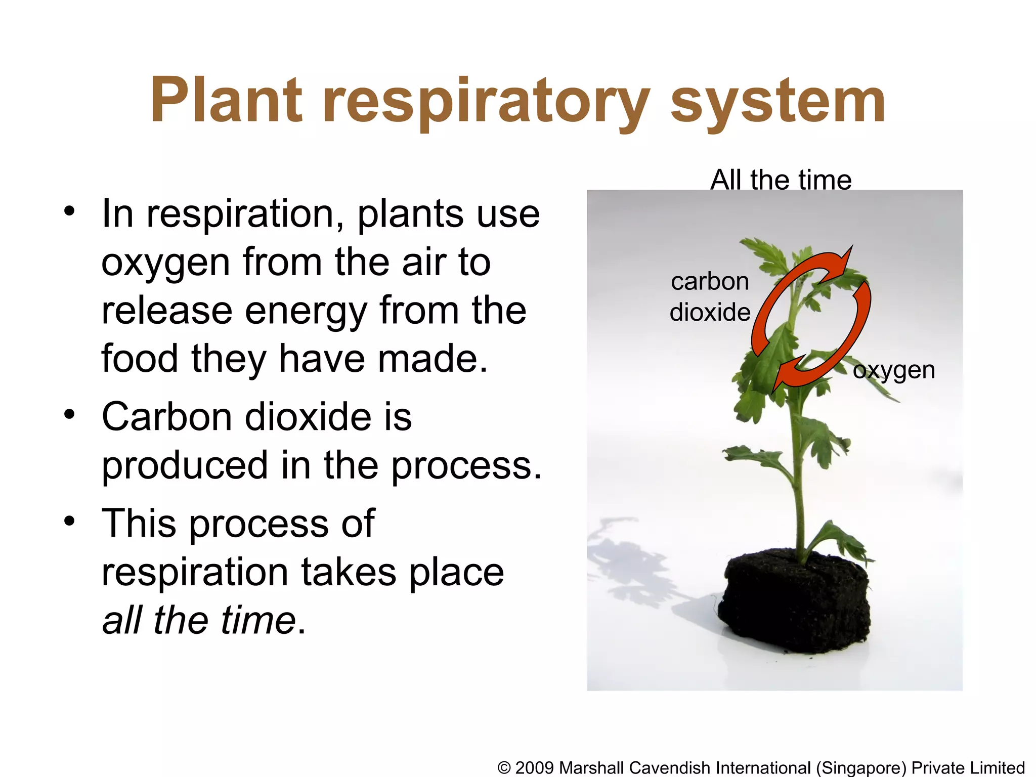Systems c2 | PPT