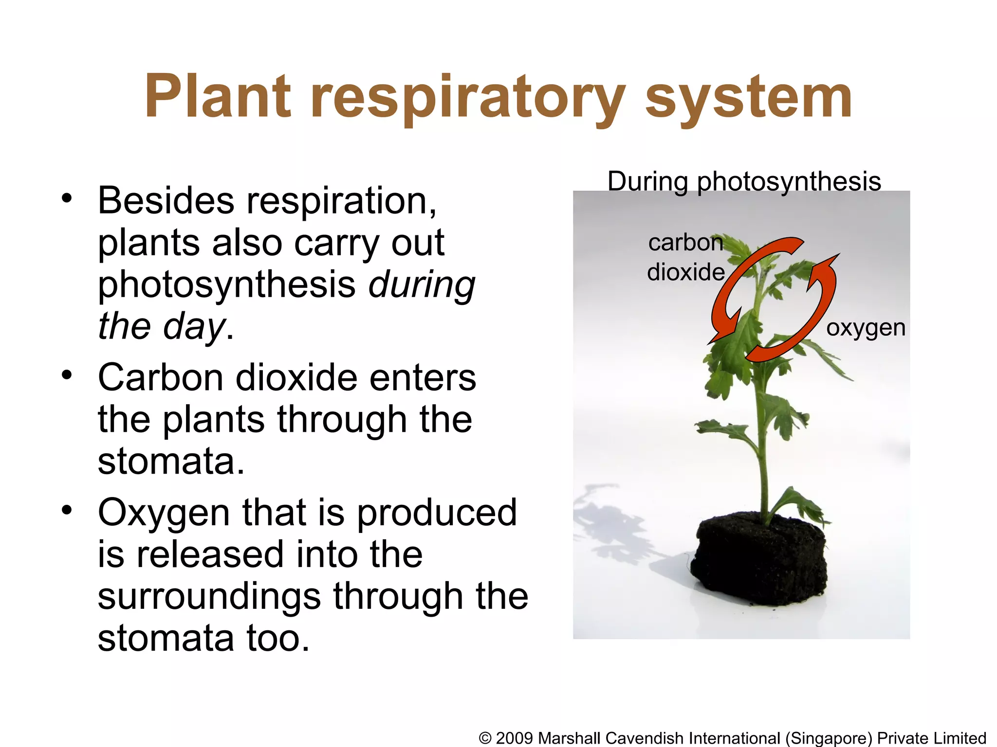 Systems c2 | PPT