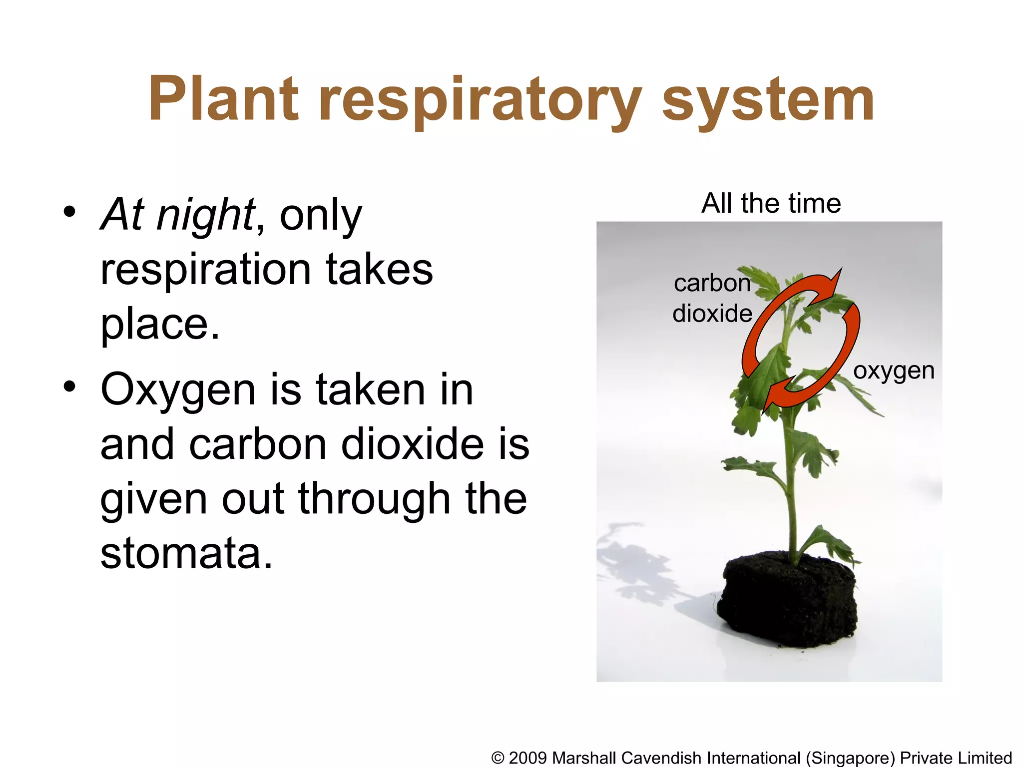 Systems c2 | PPT