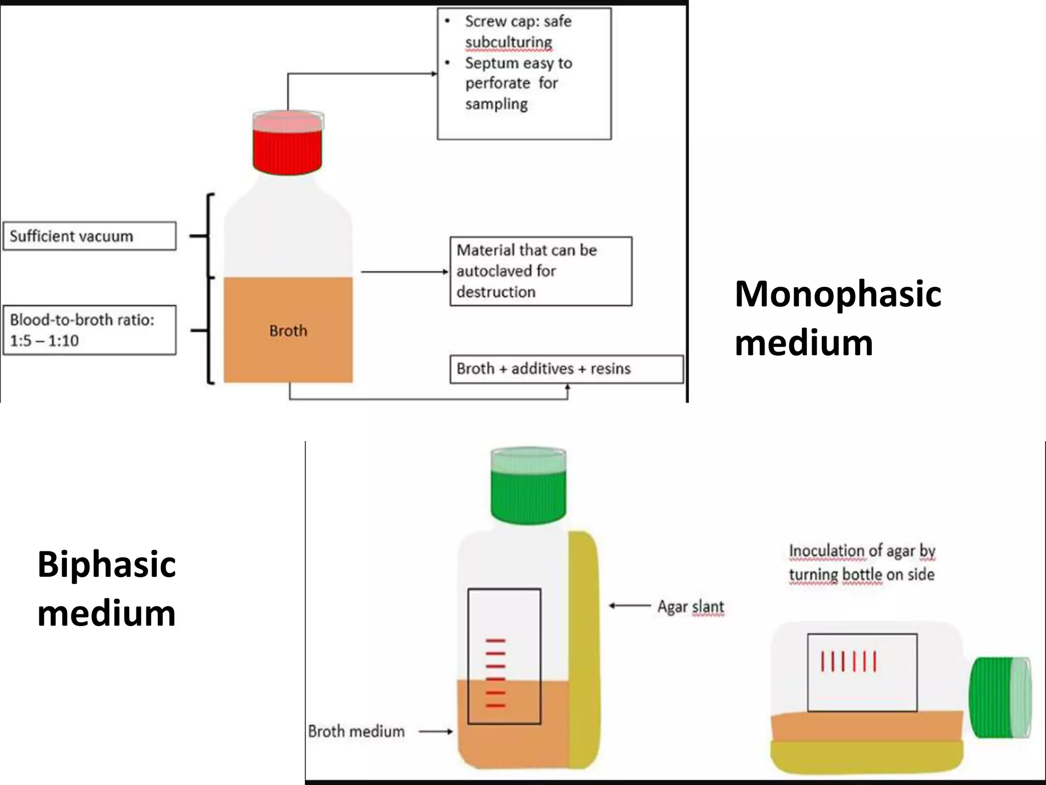systems for processing blood cultures.pptx