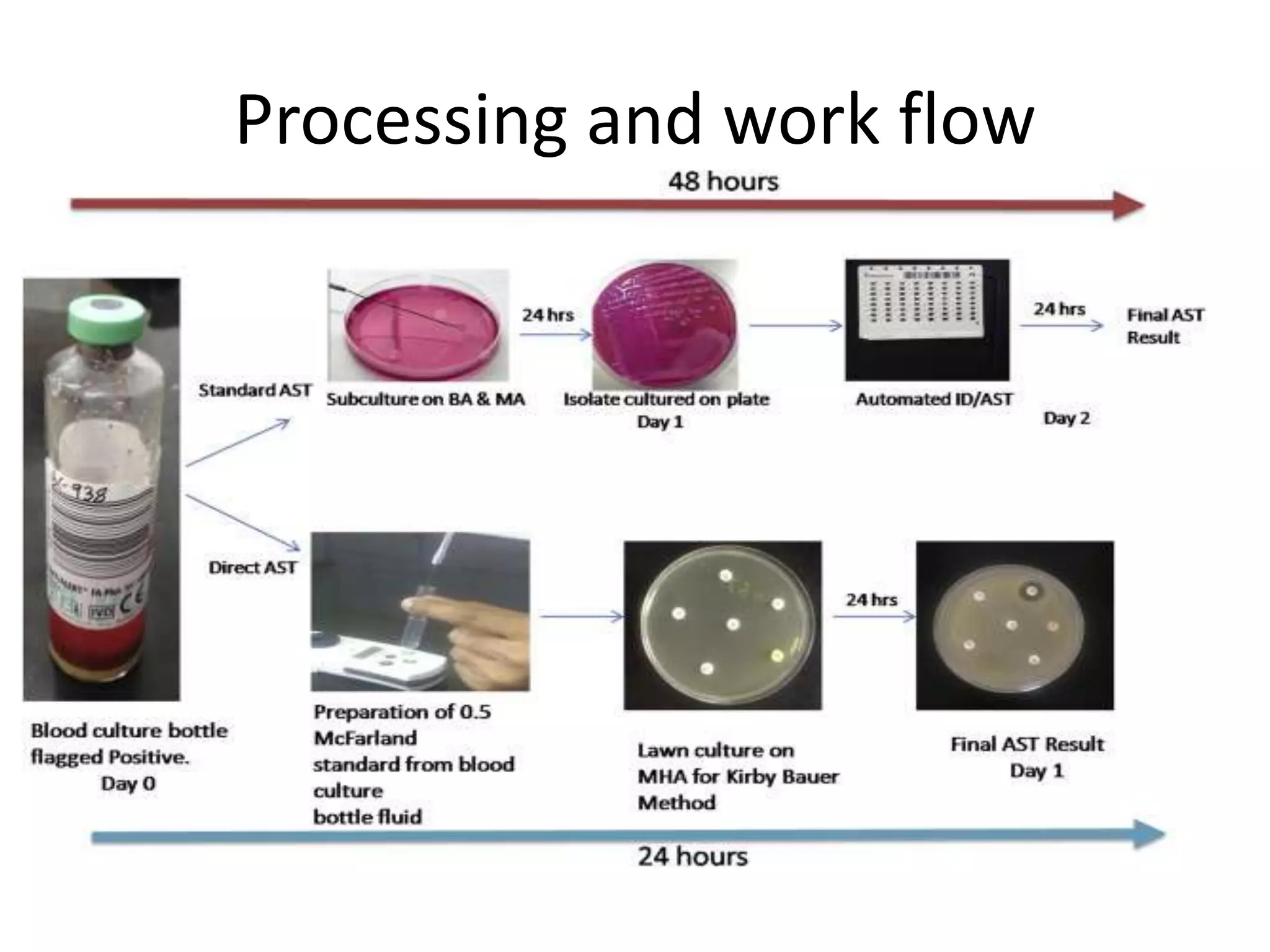 systems for processing blood cultures.pptx | Blood Disorders | Diseases and Conditions