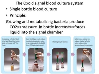 systems for processing blood cultures.pptx