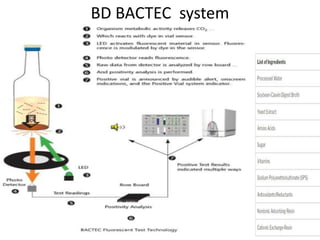 systems for processing blood cultures.pptx