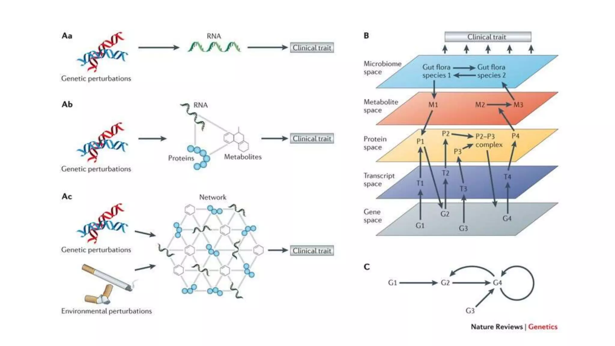 Systems genetics approaches to understand complex traits | PPTX
