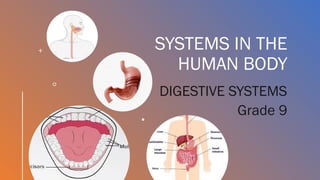 SYSTEMS IN THE HUMAN BODY NATURAL SCIENCE ORIGINAL.pptx | Internet for ...