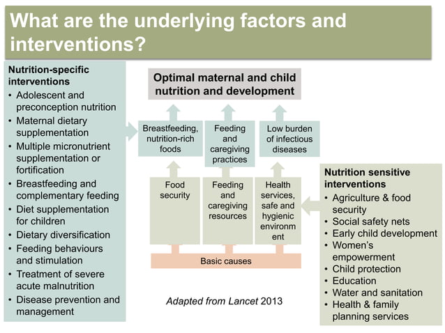 Why nutrition matters and what is this the perfect systems issue | PPT