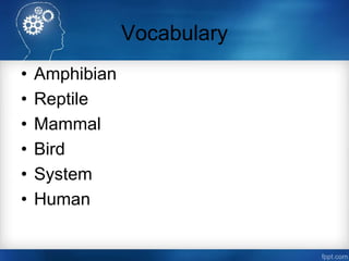 Systems of animals and human | PPT