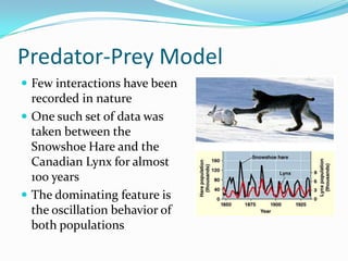 Systems Of Differential Equations | PPTX