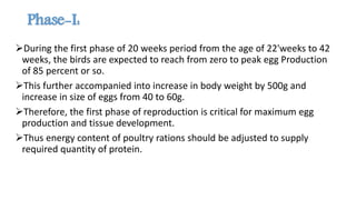 Systems of feeding poultry | PPTX