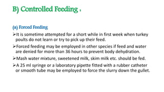 Systems of feeding poultry | PPTX