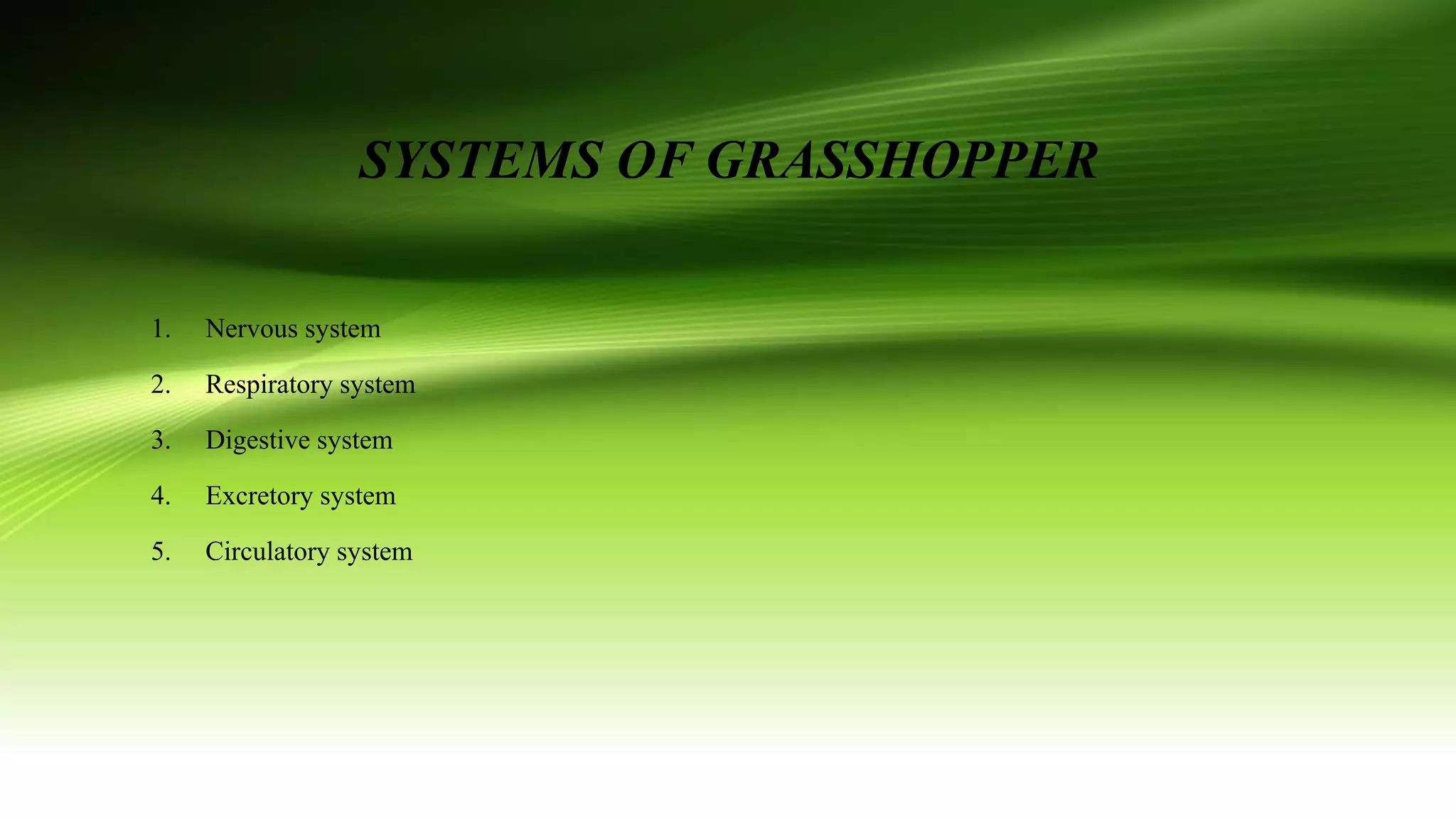 Systems Of Grasshoper | PPTX