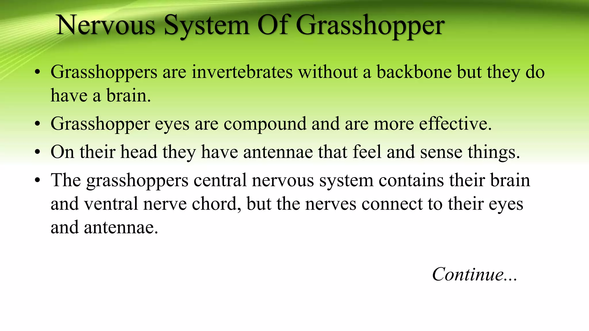 Systems Of Grasshoper | PPTX