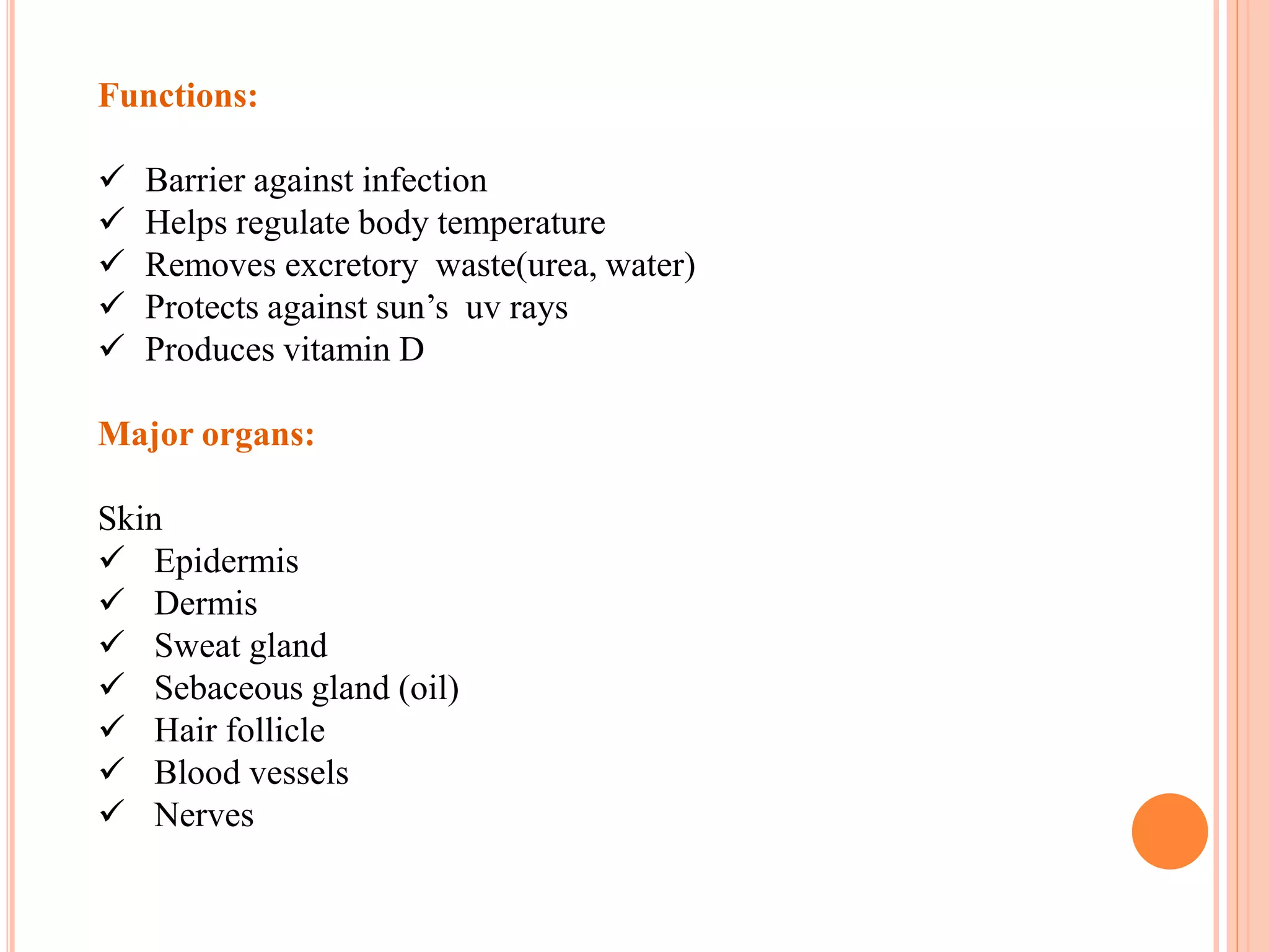 Systems of human body | PPTX