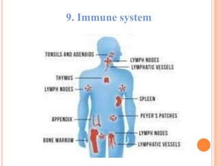 Systems of human body | PPTX