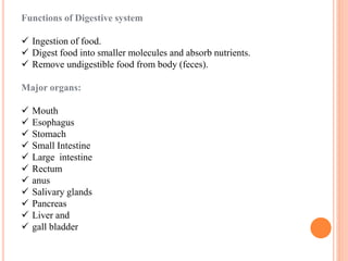 Systems of human body | PPTX