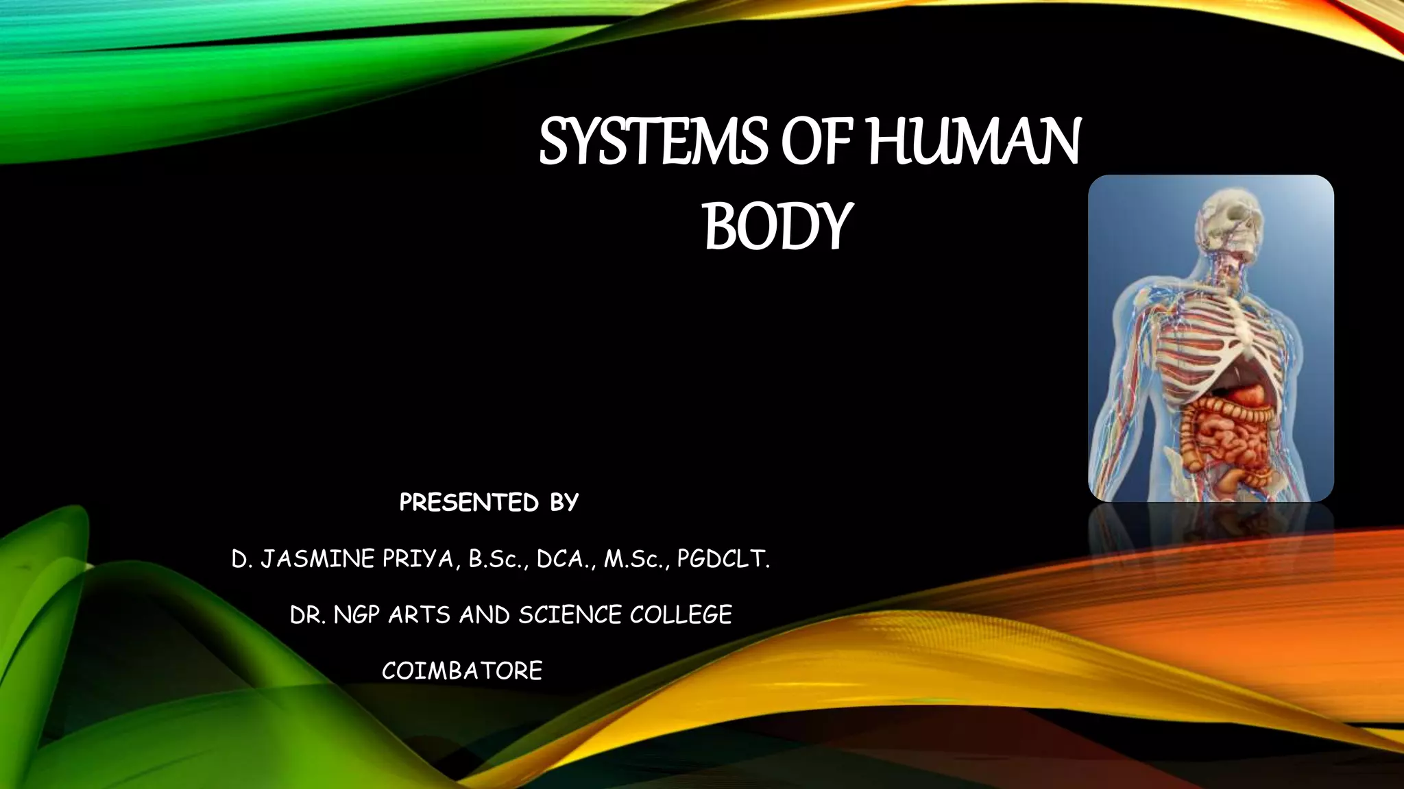 SYSTEMS OF HUMAN BODY AND ITS FUNCTIONS | PPTX