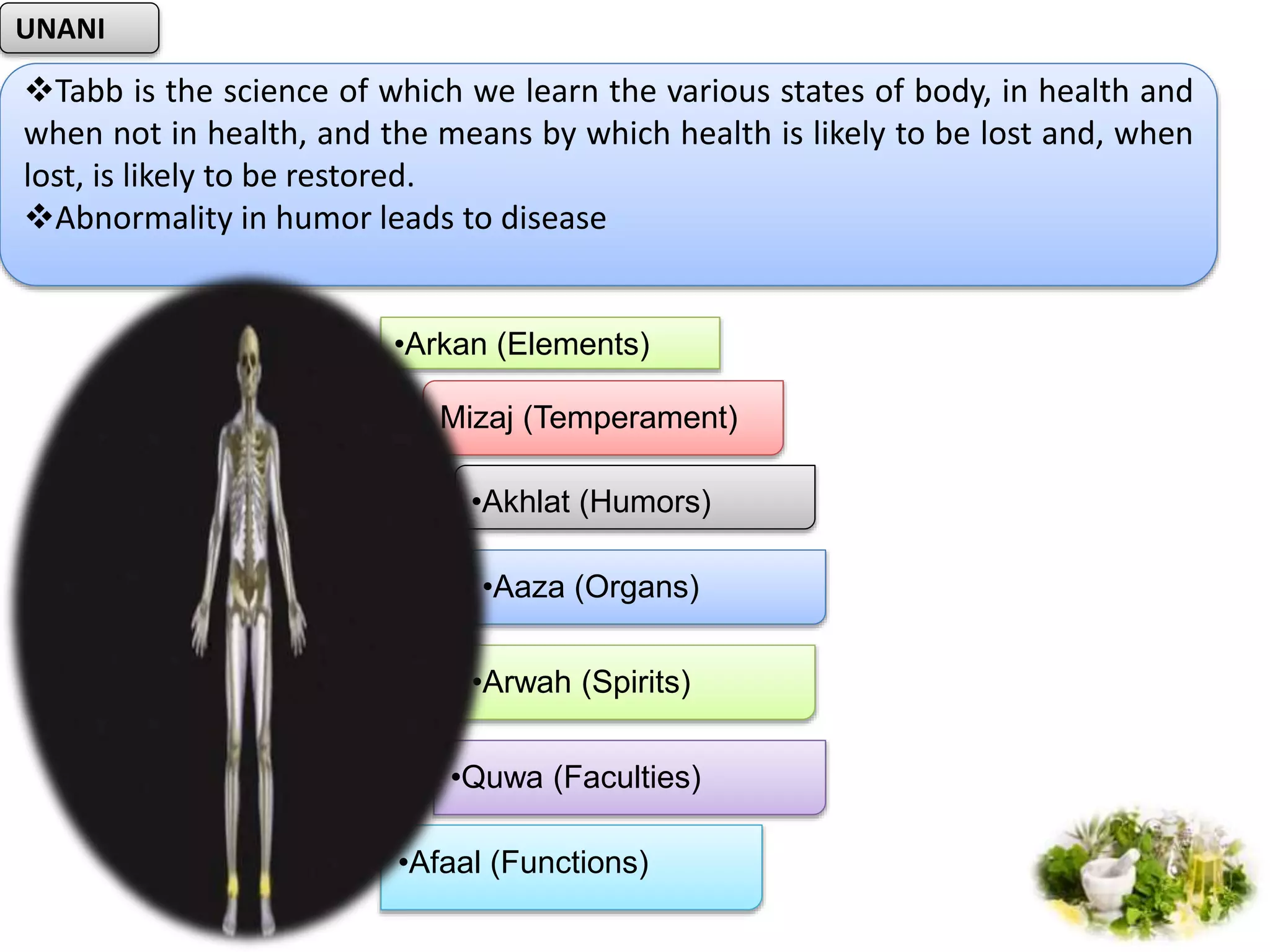 Systems of medicine- Unani system and its role in Pharmacognosy | PPTX