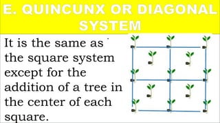 Systems of Planting-Agricrop Production.pptx