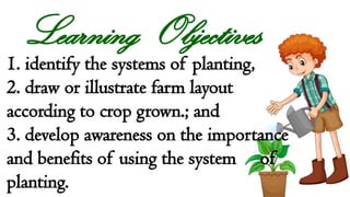 Systems of Planting-Agricrop Production.pptx